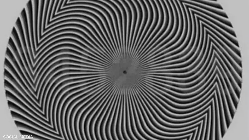 اختبر دقة نظرك.. ما هي الأرقام في هذا “اللغز البصري”؟ – وكالة مدار نيوز